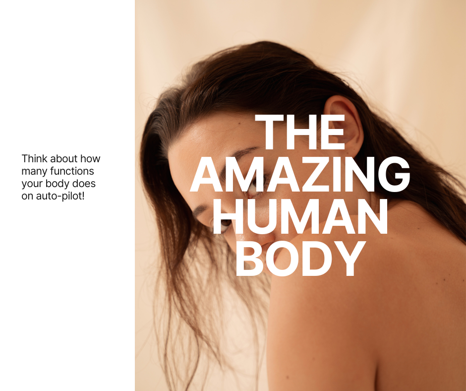 The Amazing Human Body - Tammy Robinson Author